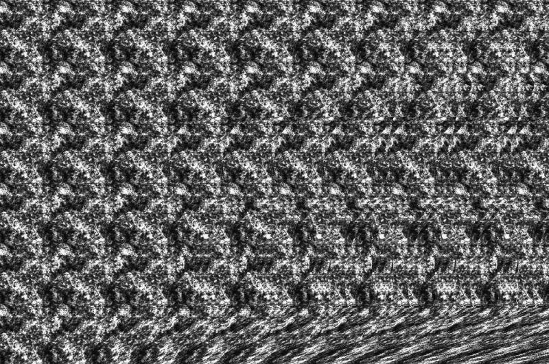 Стереокартинки с животными.: detki_iz_kletki — LiveJournal